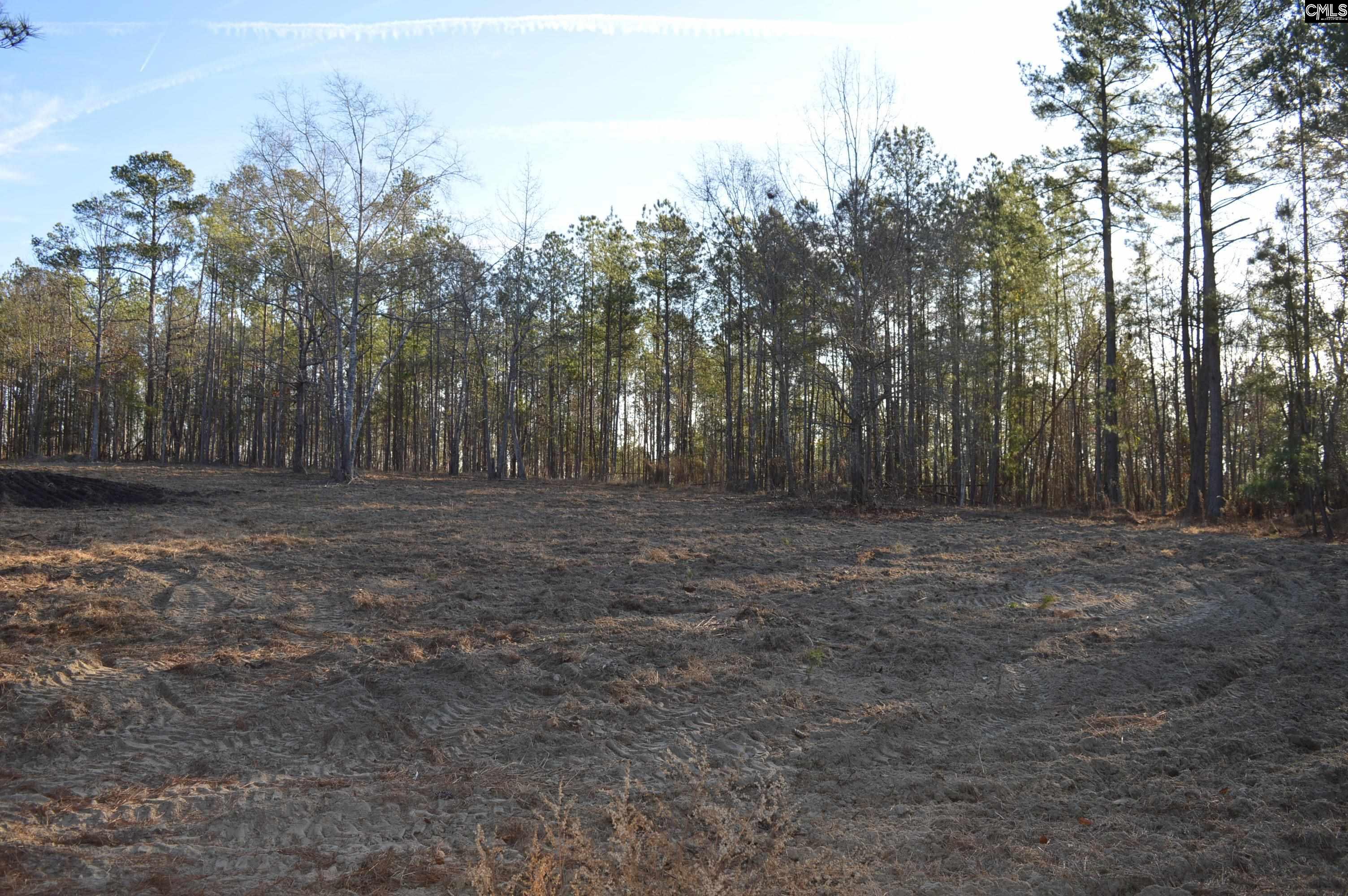 573 Qualls Road, Ridgeway, SC 29130 MLS #612823 | James Schiller Team